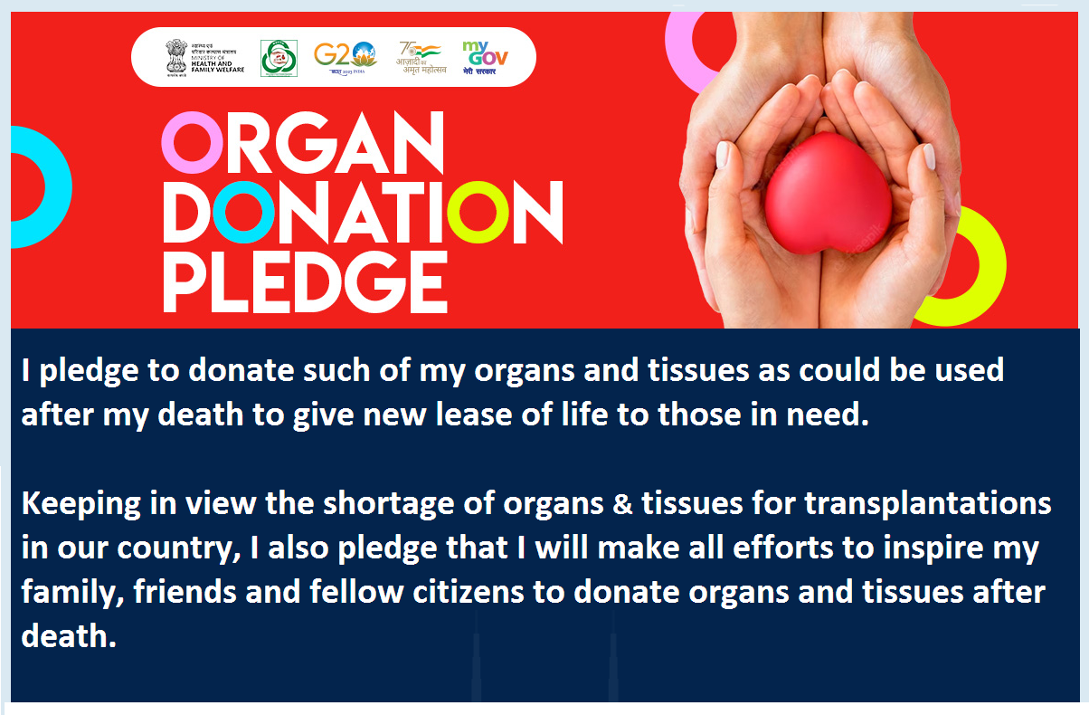 Welcome to User Panel of SAIL-CET